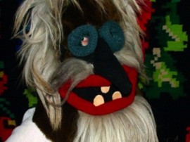 Caravane si rulote de vânzare • CarZZ.ro